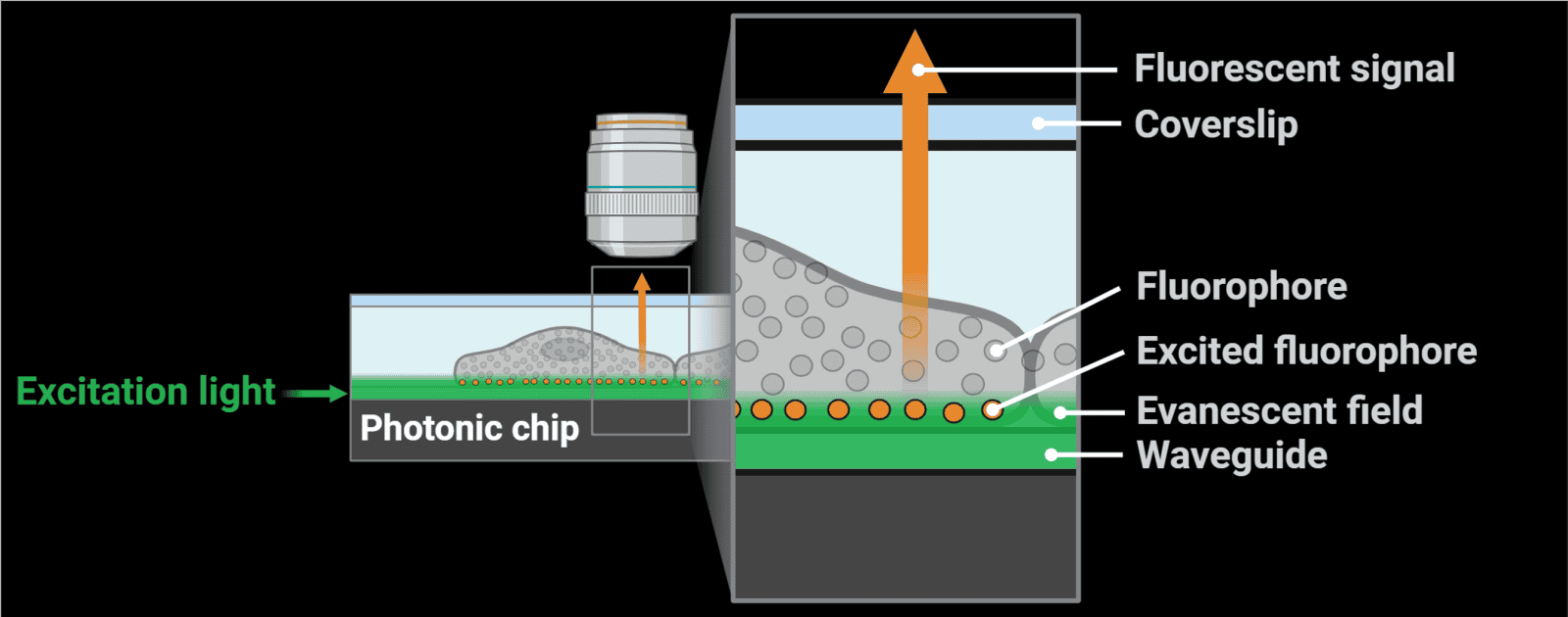 Chip-Based TIRF - Chip Nanoimaging