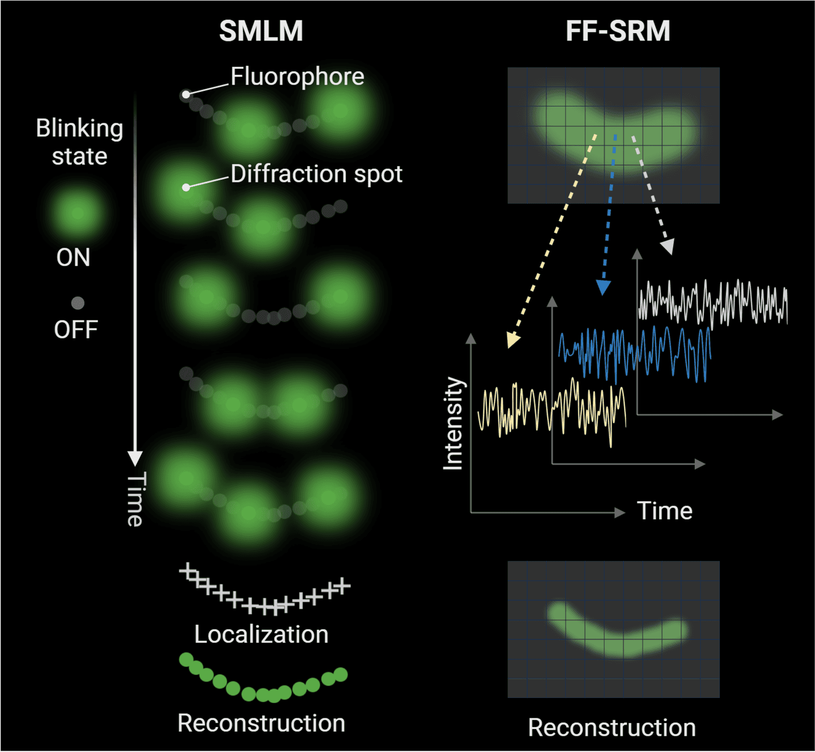 Super-Resolution Microscopy - Chip Nanoimaging